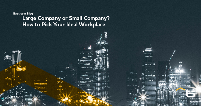 Large Company or Small Company? How to Pick Your Ideal Workplace - Bayt ...